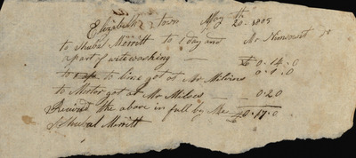 "Julian Niemcewicz with Shubatt Merritt, May 20, 1805" by Julian U ...